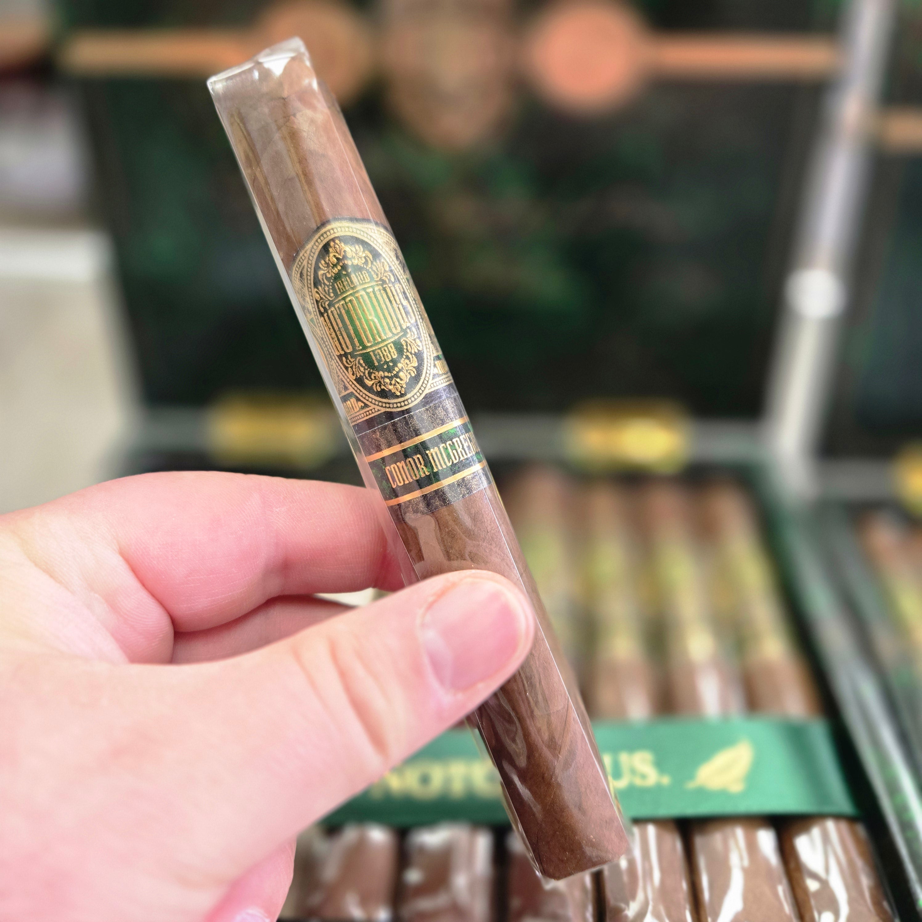 Notorious - Notorious Corona Gorda – Route 30 Cigars